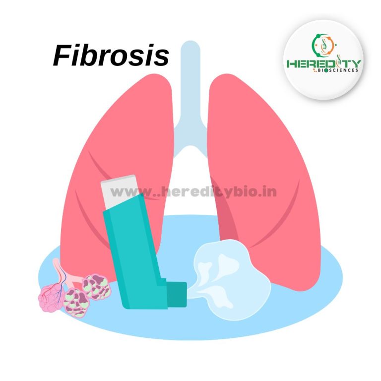 What is the main cause of fibrosis? - Heredity Bioscience