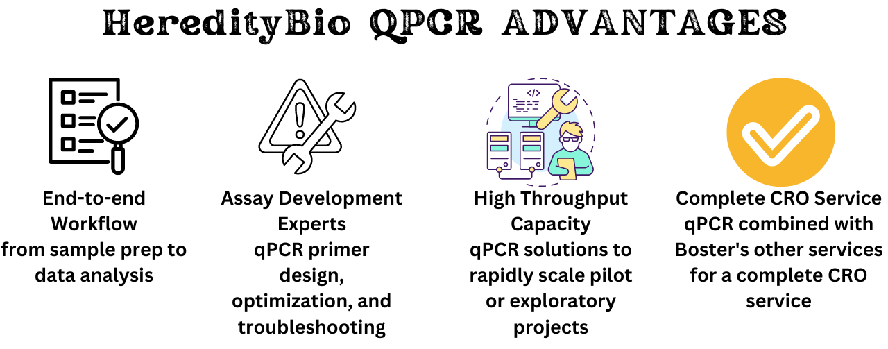 Gold Standard Quantitative Or Real-Time PCR Services - Heredity Bioscience