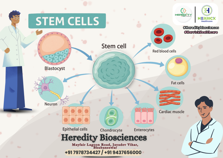 Learn. Culture. Discover. — New Hands-On Cell Culture Training Batches ...